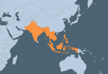 ECA-Regions-South-East-Asia-image | ECA UK - Economic Consulting Associates