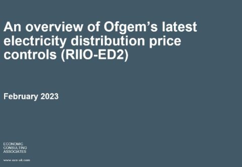 We read Ofgem’s RIIO-ED2 Final Determinations so you don’t need to ...